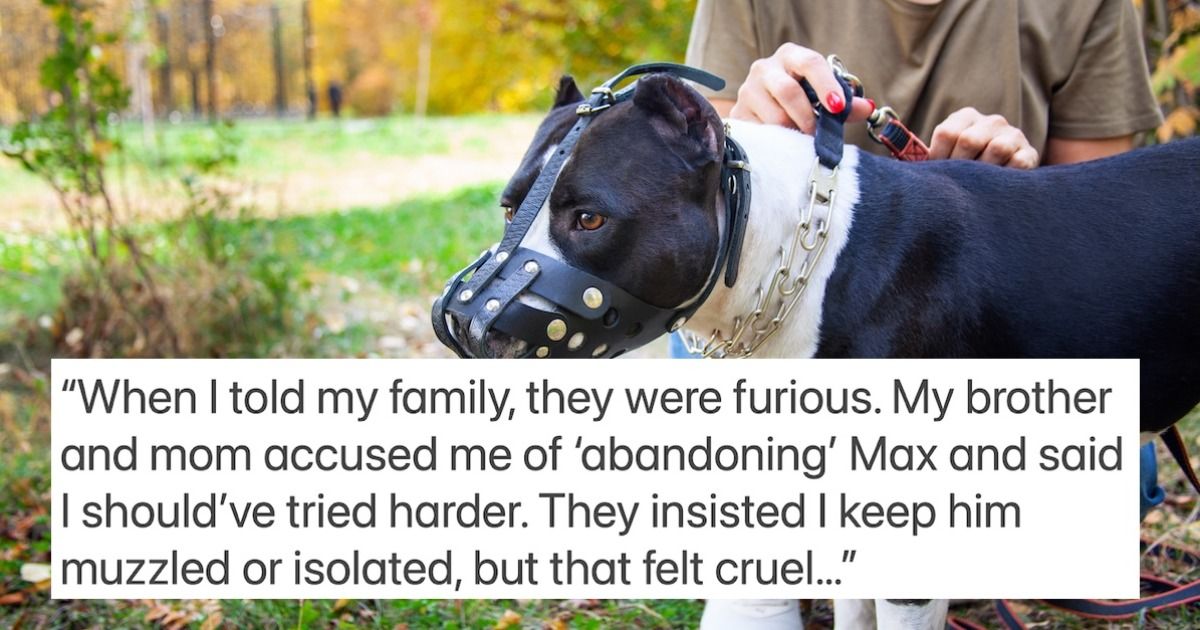'AITA for rehoming my aggressive dog?' 'My family insisted I keep him ...