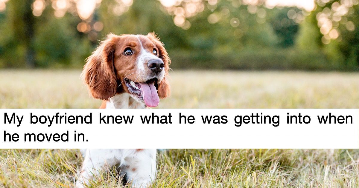 'AITA for letting my dog sleep in my bed?' | Someecards Relationships