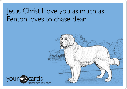 Jesus Christ I love you as much as Fenton loves to chase dear ...