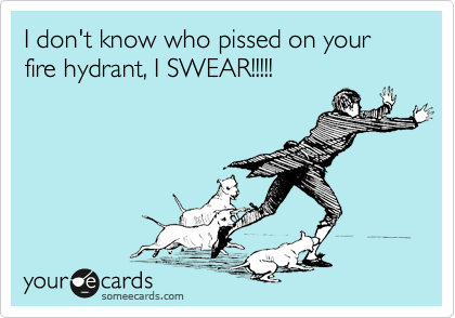 I don't know who pissed on your fire hydrant, I SWEAR!!!!! | Cry For ...