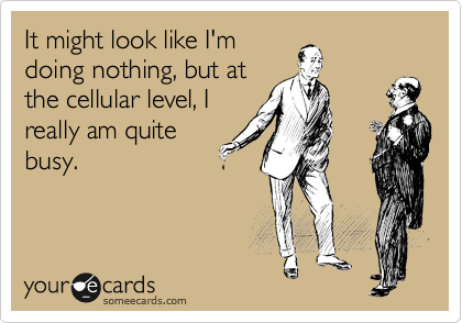 It might look like I'm doing nothing, but at the cellular level, I ...