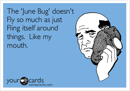 The 'June Bug' doesn't Fly so much as just Fling itself around things ...
