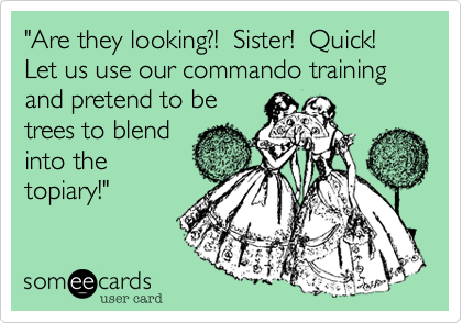 "Are they looking?! Sister! Quick! Let us use our commando training and ...