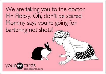 We are taking you to the doctor Mr. Flopsy. Oh, don't be scared. Mommy ...