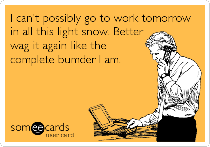I can't possibly go to work tomorrow in all this light snow. Better wag ...