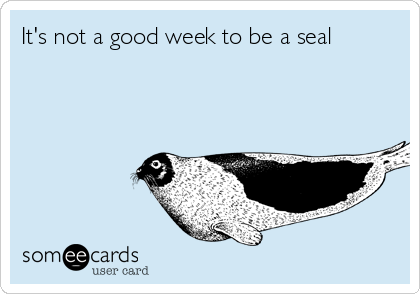 It's not a good week to be a seal | Apology Ecard