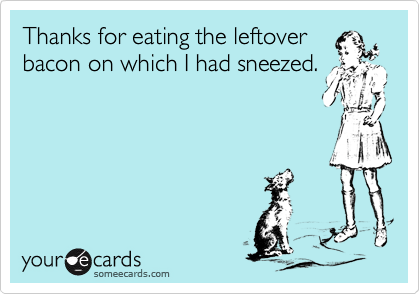 Thanks for eating the leftover bacon on which I had sneezed. | Thanks Ecard