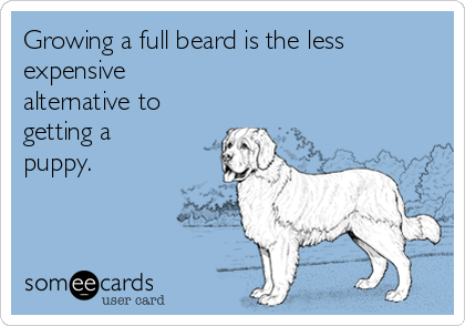 Growing a full beard is the less expensive alternative to getting a ...